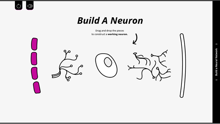 Build a Neuron