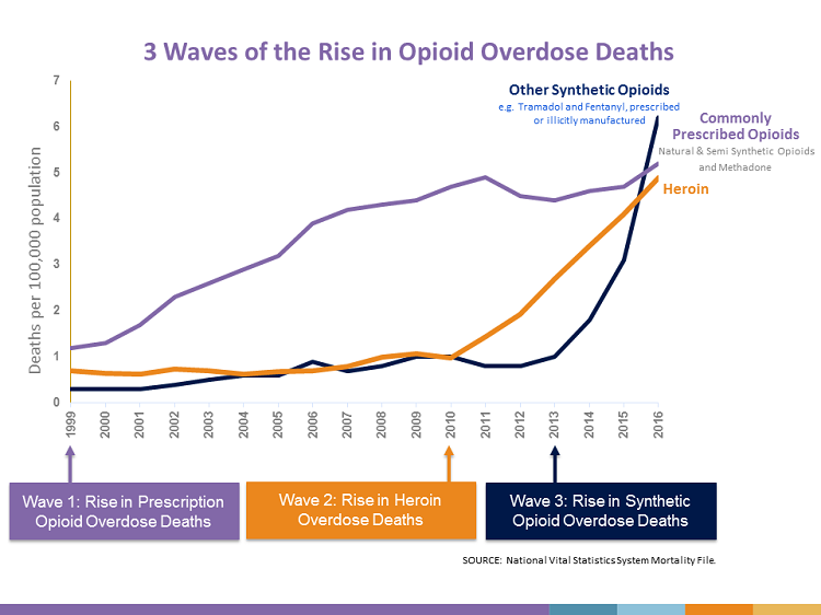 Mitigating the Opioid Crisis
