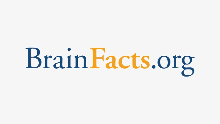 The Brain Facts Book