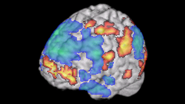 The Tools That Let Neuroscientists Study (and Even Repair) Brain Circuits