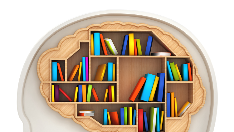 The Neuroscience of Learning, Memory, and Emotions