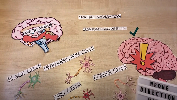 How Do We Move Around the World?