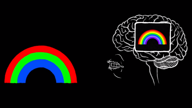 Colm Kelleher: How We See Color