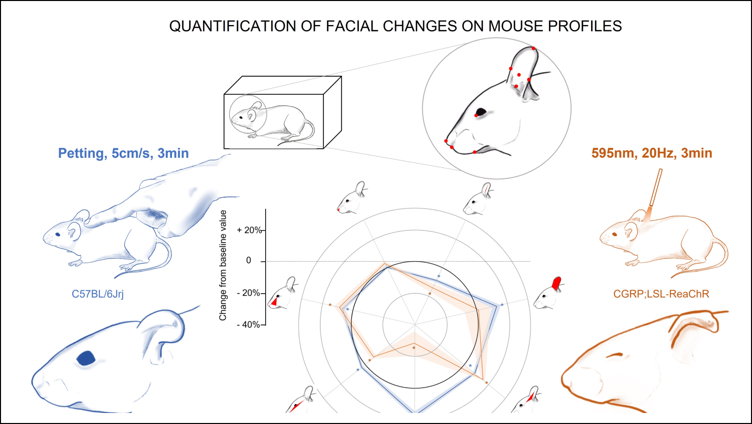 Society for Neuroscience - Website Home Page