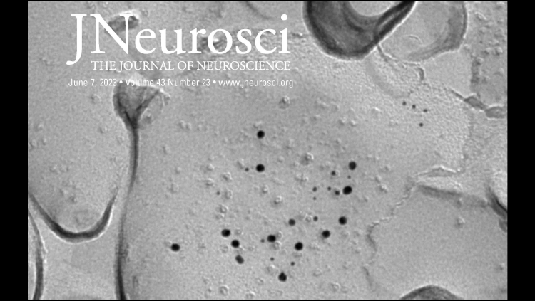 Society for Neuroscience - Website Home Page