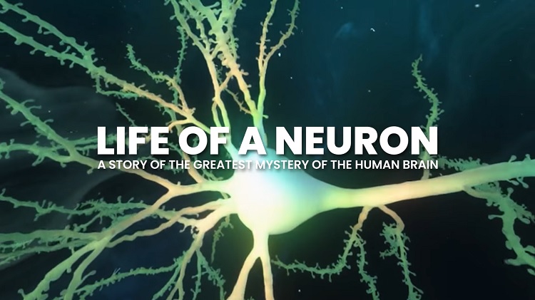 Society for Neuroscience - Website Home Page