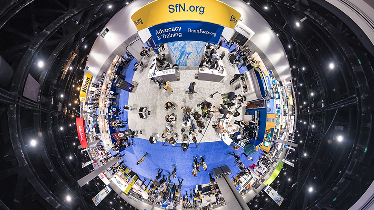 Society for Neuroscience - SfN Elections